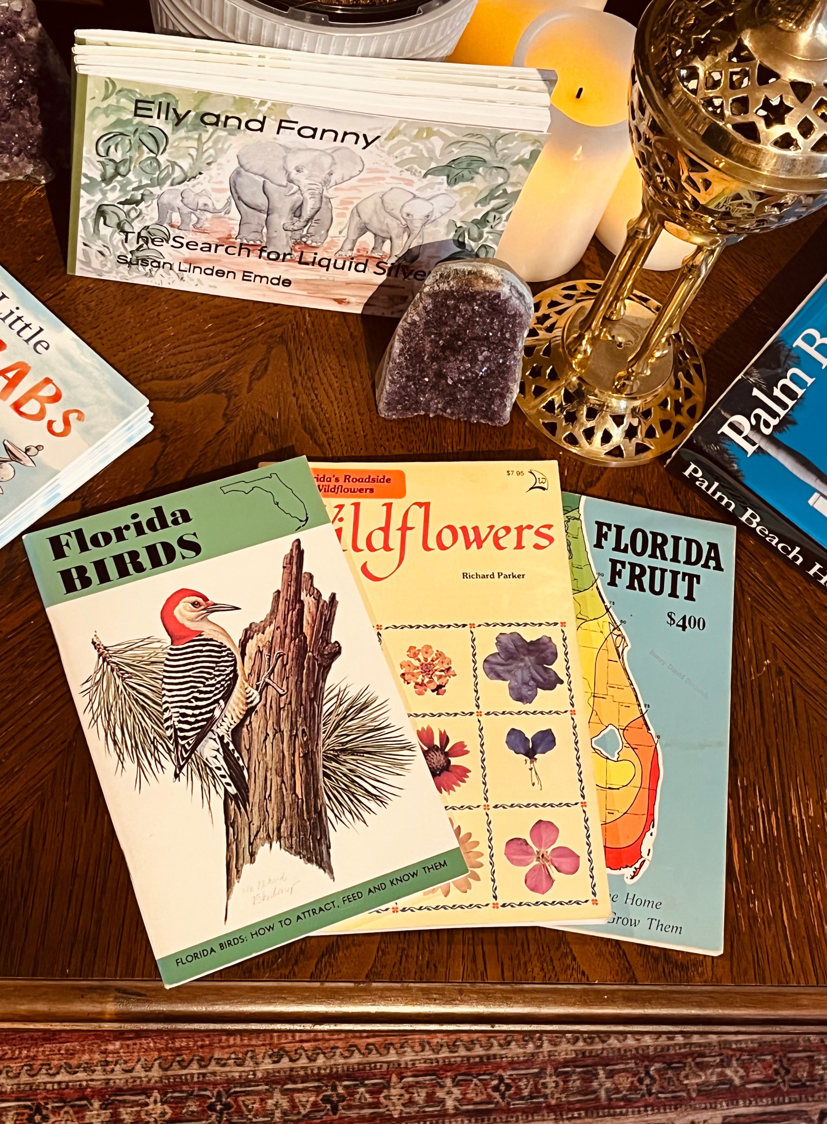 Books – Page 3 – The Dancing Elephant